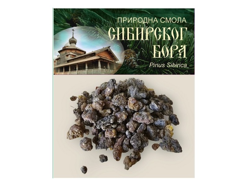( Tamjan ) Prirodna smola Sibirskog bora - Rusija