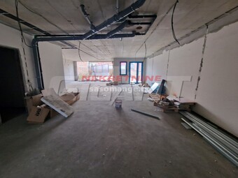 ZEMUN-CARA DUŠANA, 160M2, PR, EG