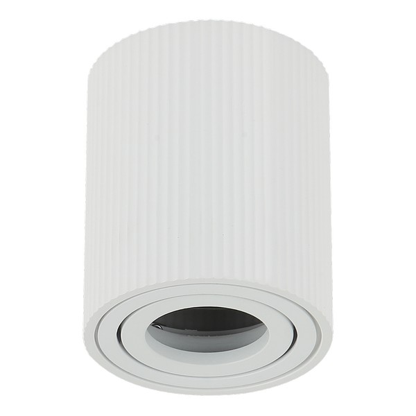 Plafonska lampa AFS118-1C WH