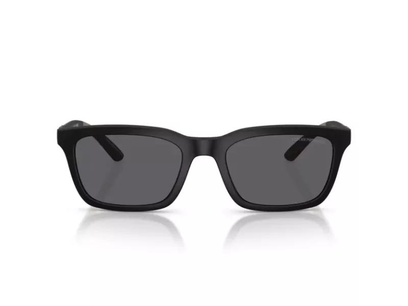 Emporio Armani Naočare za sunce EA 4249U 500181