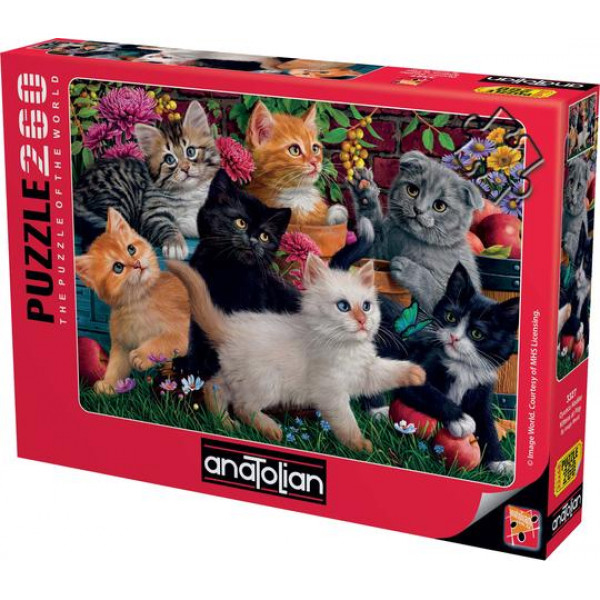 Anatolian Puzzle Kittens At Play 260 pcs 133273