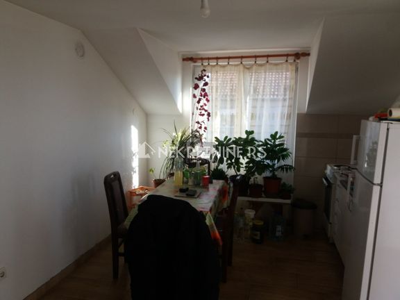 Popova bara Nova 204. Borča ID#42459