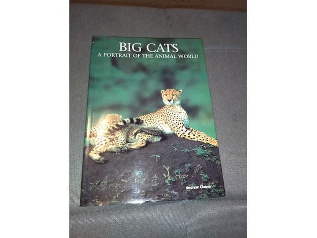 Big cats - Andrew Cleave