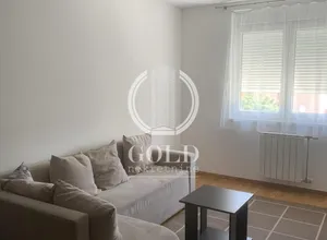 Izdavanje Stan - Novi Sad, Kej