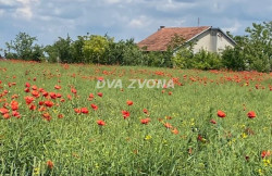 Na prodaju salaš – Čenej, ukupno 305 ari (190 ari građevinsko + 115 ari poljoprivredno zemljište)