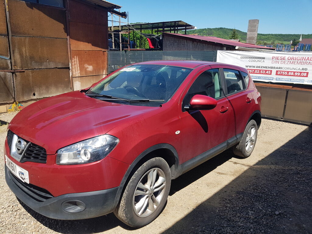 Ornament Haion ORNAMENT INT oblaganje za Nissan Qashqai Facelift 2010 - 2013 automobila