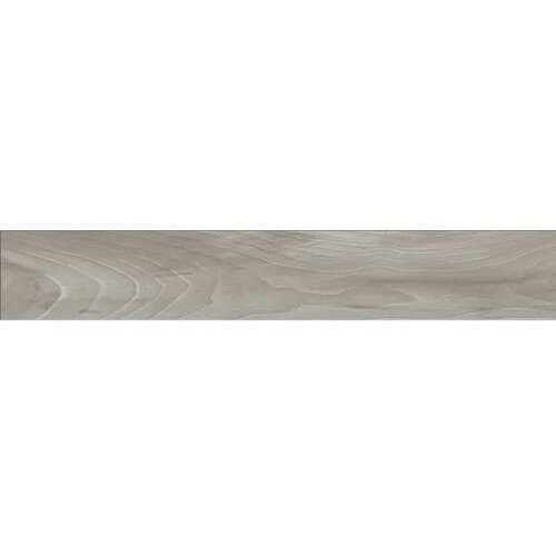 Olmo 20X121