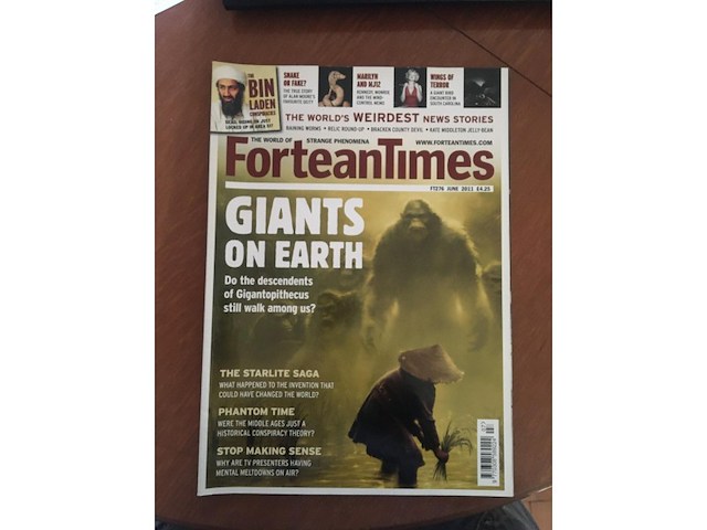 Fortean Times No.276