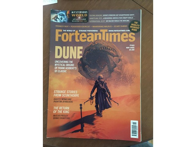 Fortean Times 411