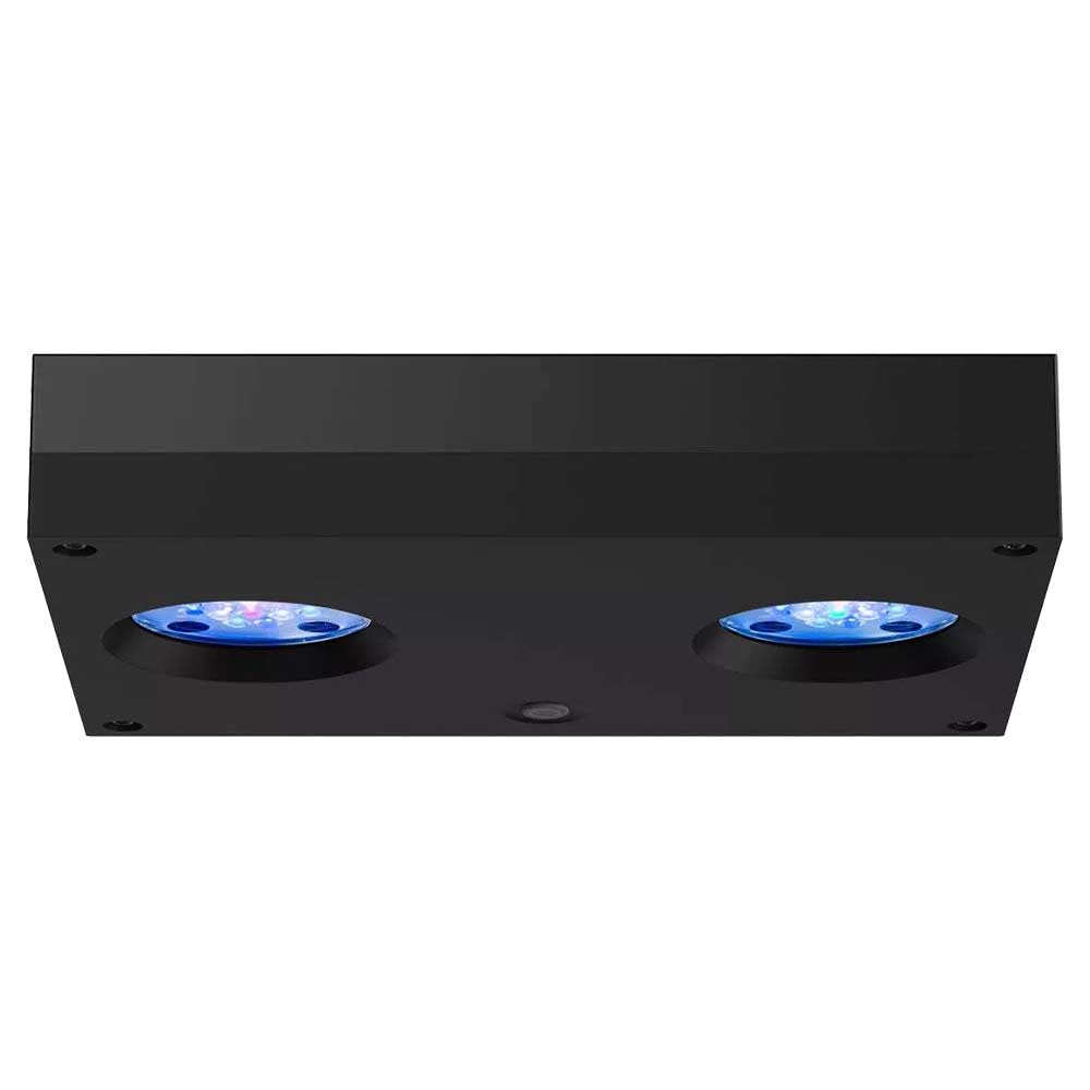 Ecotech hydra32