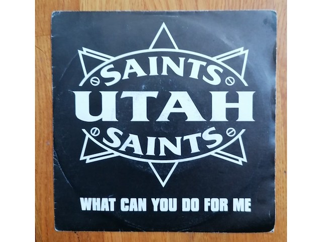 UTAH SAINTS - WHAT CAN YOU DO FOR ME