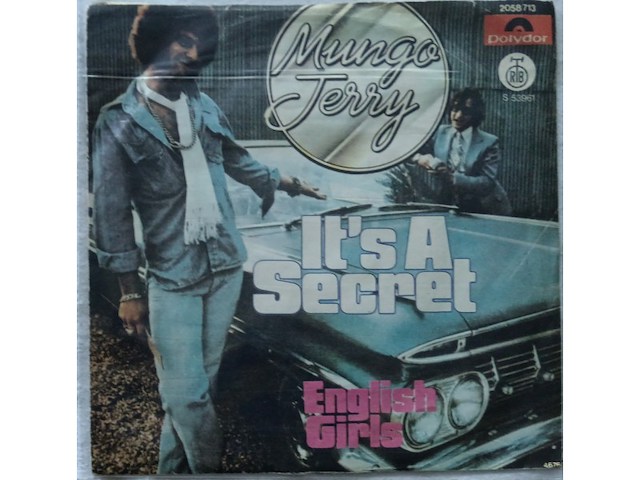 MUNGO  JERRY  -  IT`S  A  SECRET