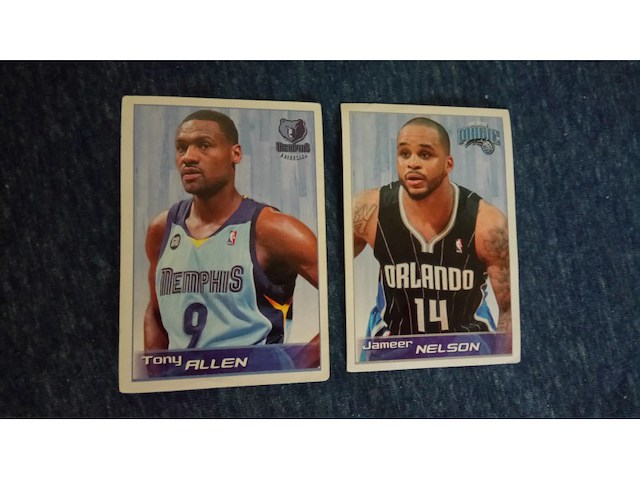 Slicice NBA 2012 2013 (Panini)