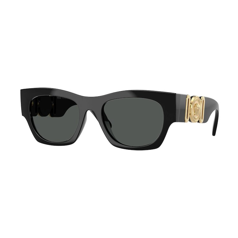 VERSACE POLARIZOVANE Sunčane naočare 0VE4479U GB1/87 52