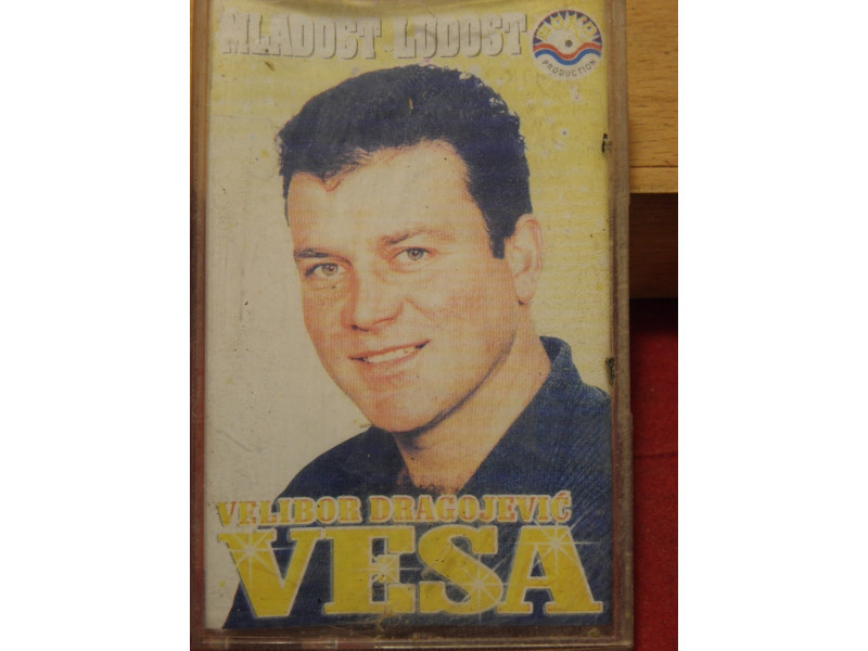 VELIBOR DRAGOJEVIĆ - MLADOST LUDOST (jedini alb.) RR