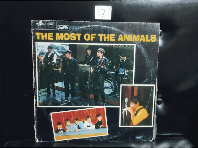 The most of the Animals SSK