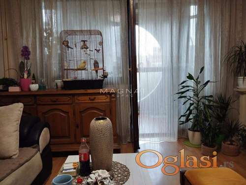 Vidikovac - Vidikovački venac, 108m2 - duplex ID#5088