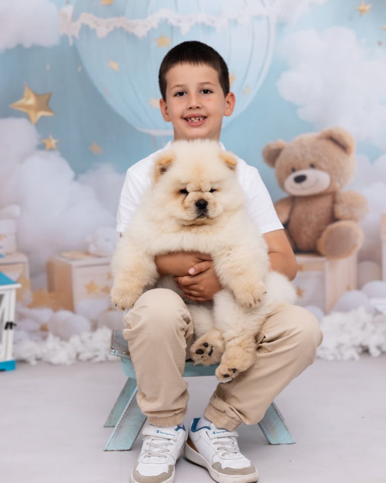 CHOW CHOW zensko stene
