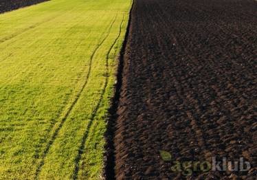 Kupujem livade i oranice