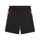 MUŠKI ŠORC PUMA INDIVIDUALCUP SHORTS