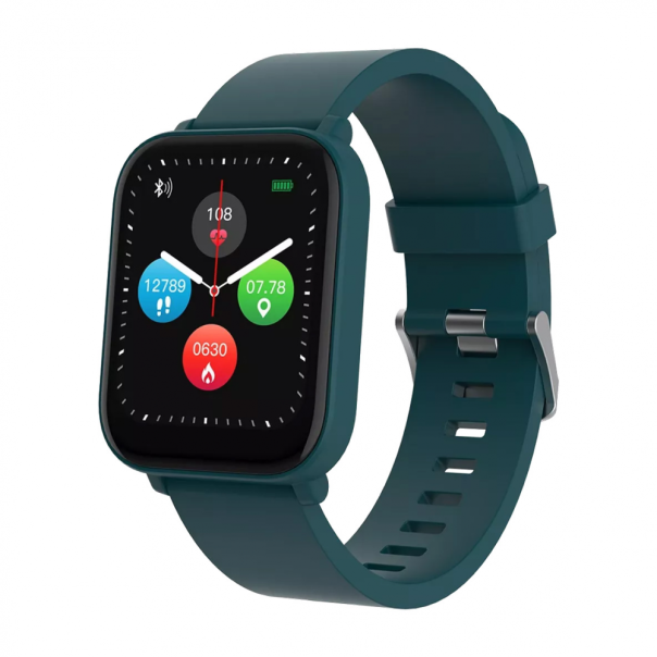 Smart watch CANYON Wildberry SW-54, 1.7" IPS zeleni