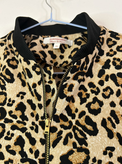 Leopard jaknica
