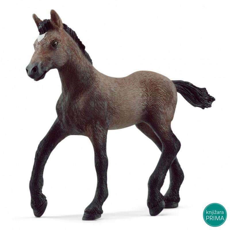 Peruvian paso ždrebe SCHLEICH 13954