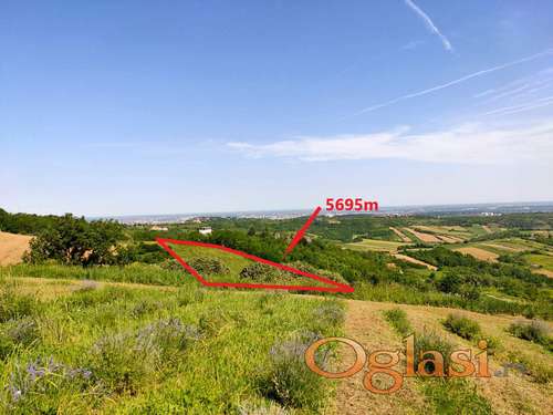 Građevinsko zemljište 5695m Fruška gora Bukovac/Široka Gudura na vrhu, TOP POGLED