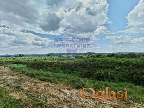 Odličan gradjevinski plac Futog 592m2