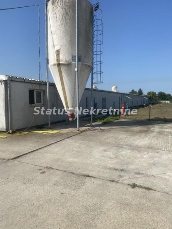 Poslovna zgrada - Beograd, Obrenovac - ID oglasa 21221