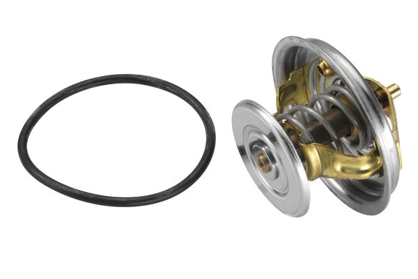 Termostat, rashladna tečnost BorgWarner (Wahler) 4078.87D