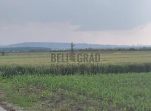 Prodaja Plac - Beograd, Palilula: Krnjača - Kotež - Ovča