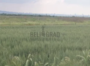Prodaja Plac - Beograd, Palilula: Krnjača - Kotež - Ovča