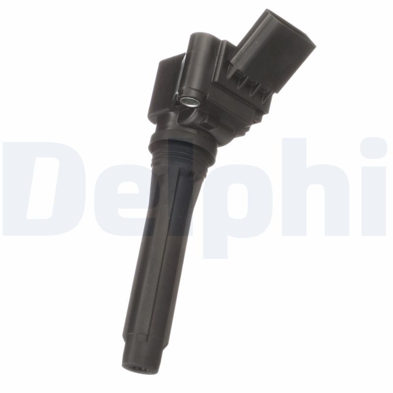 Indukcioni kalem (bobina) DELPHI GN10958-12B1