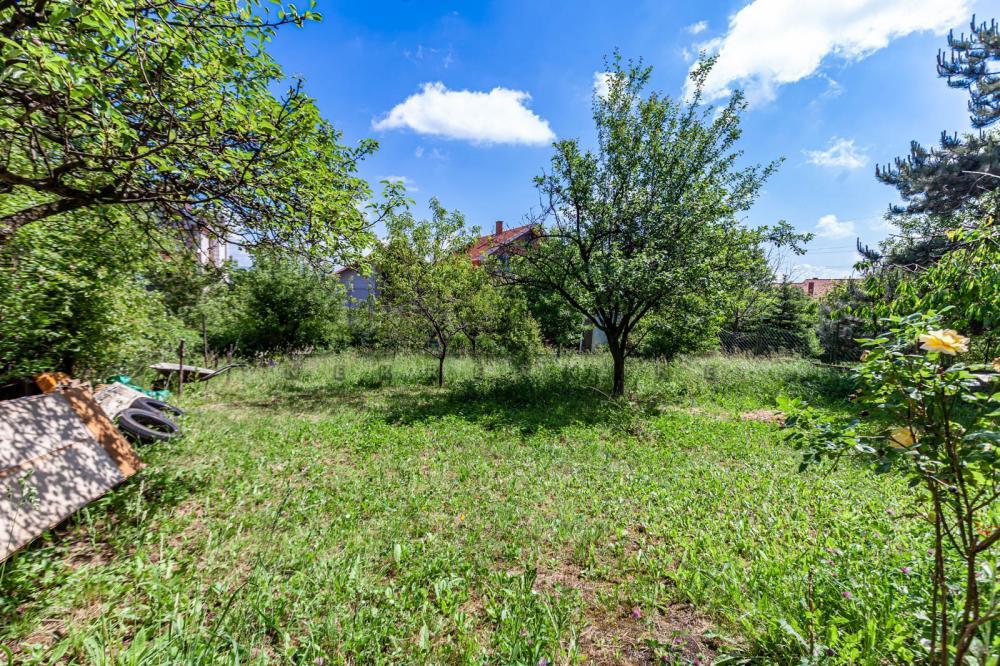 Smederevska, Kuća na prodaju, 336m2, 170.000€