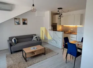 Prodaja Stan - Novi Sad, Socijalno - Rotkvarija