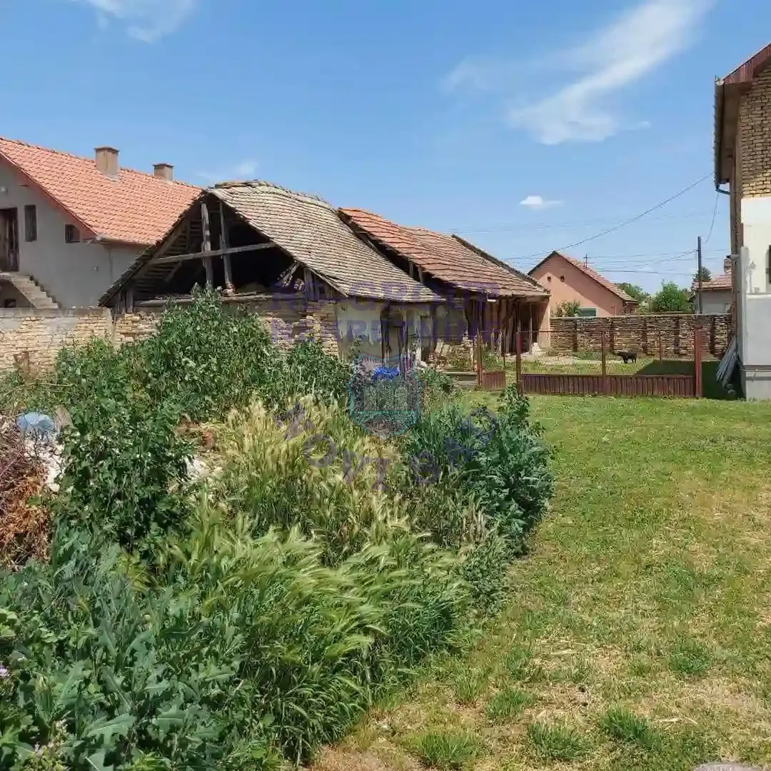 Centar, Čurug