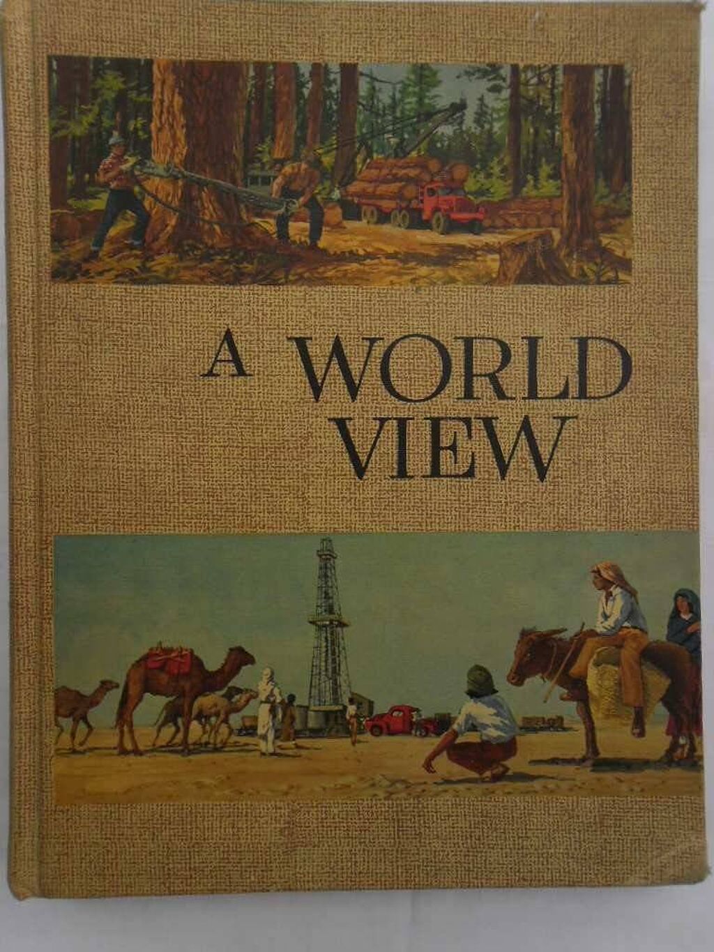 Knjiga:A World View Man in his World,eng.Шта је поглед на свет? Поглед