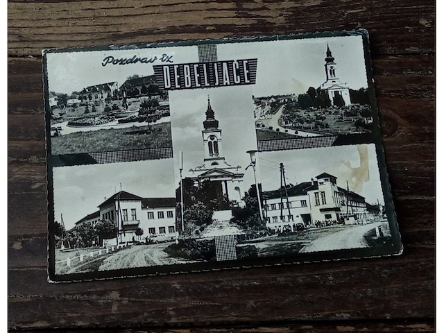 RAZGLEDNICA DEBELJACA