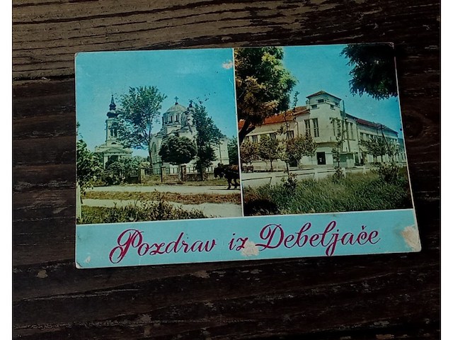 RAZGLEDNICA DEBELJACA