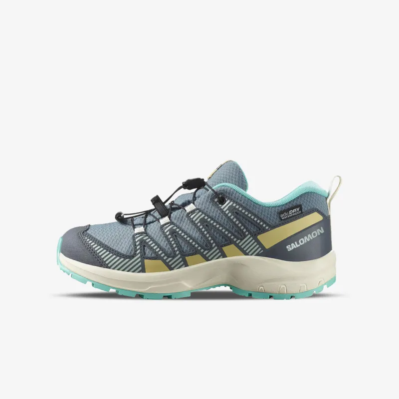 Salomon Xa Pro V8