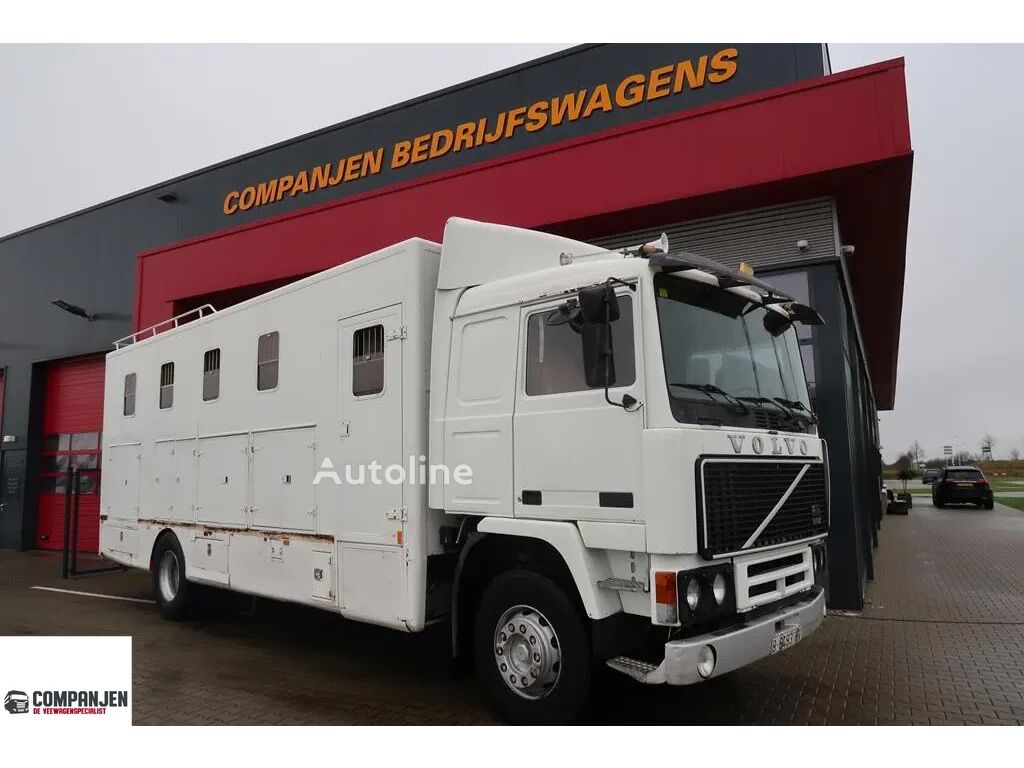 Volvo F 12 F12-20 - 1986 - Horse transport - Oldtimer kamion za prevoz stoke