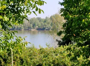 Prodaja Građevinsko zemljište - Novi Sad