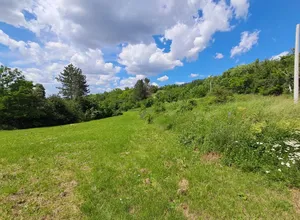 Prodaja Građevinsko zemljište - Beočin