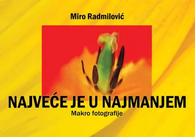 Najveće je u najmanjem