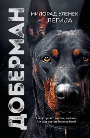 Doberman