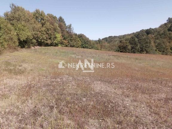 Ljig, Bošnjanović, Bogavica, zemljište 2, 45ha ID#5973