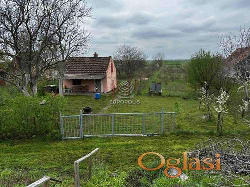 Lazarevo, Zrenjanin ID#7708