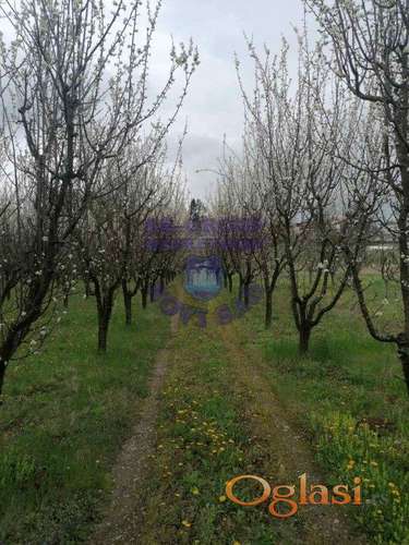 Odličan plac na putu do Premijer akve -1003m2