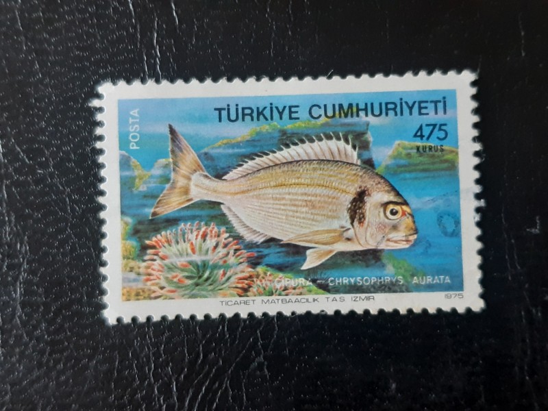 TURSKA 1975